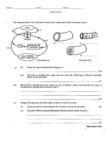 Hojas de ejercicios interactivas en 120 idiomas | LiveWorksheets