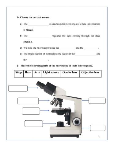 microscope worksheet gcse