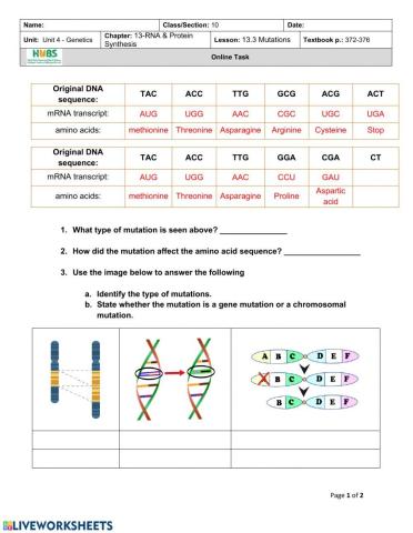 dna mutations worksheet