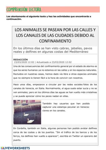 Interactive Worksheets in 120 Languages | LiveWorksheets