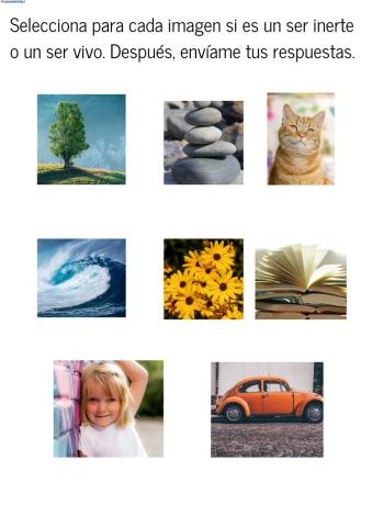 Interactive Worksheets in 120 Languages | LiveWorksheets