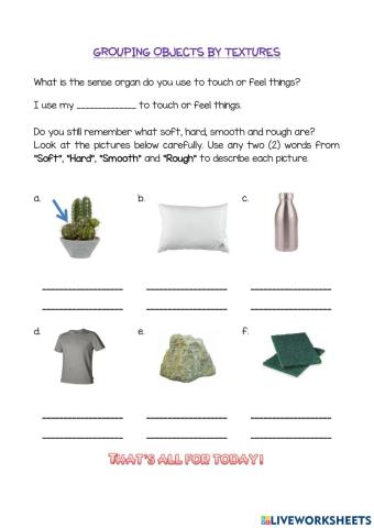 rough things to touch