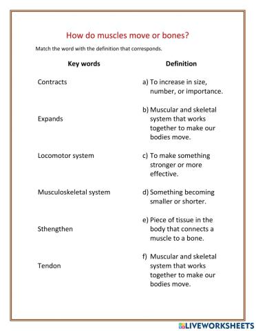 แผ่นงานเชิงโต้ตอบใน 120 ภาษา