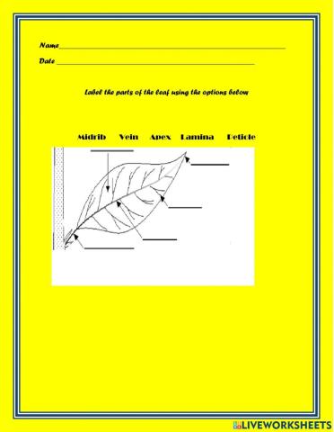 Hojas de ejercicios interactivas en 120 idiomas | LiveWorksheets
