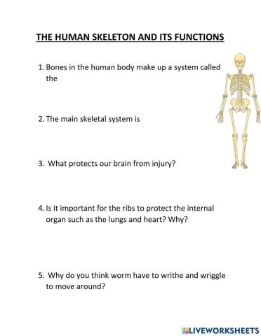 Hojas de ejercicios interactivas en 120 idiomas