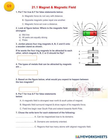 Magnets and magnetic fields worksheet answers store
