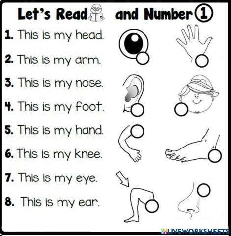 แผ่นงานเชิงโต้ตอบใน 120 ภาษา