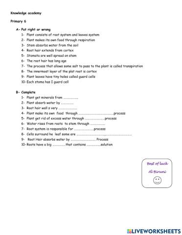 hend ibrahim | Live Worksheets