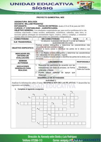 Hojas de ejercicios interactivas en 120 idiomas | LiveWorksheets