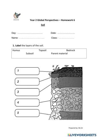 soil layers year 3