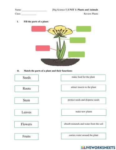 Hojas de ejercicios interactivas en 120 idiomas