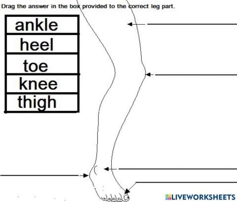 Worksheets | Live Worksheets