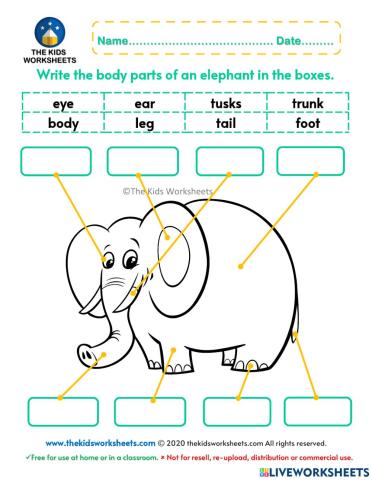 elephant labelling