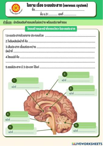 Prapatson Chaloeywaret | Live Worksheets