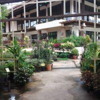 syaz | Live Worksheets