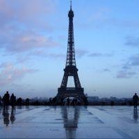 MITZI J. CARDENAS R. | Live Worksheets