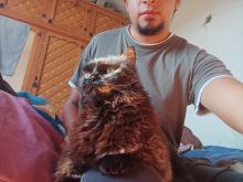 Donovan Flores | LiveWorksheets