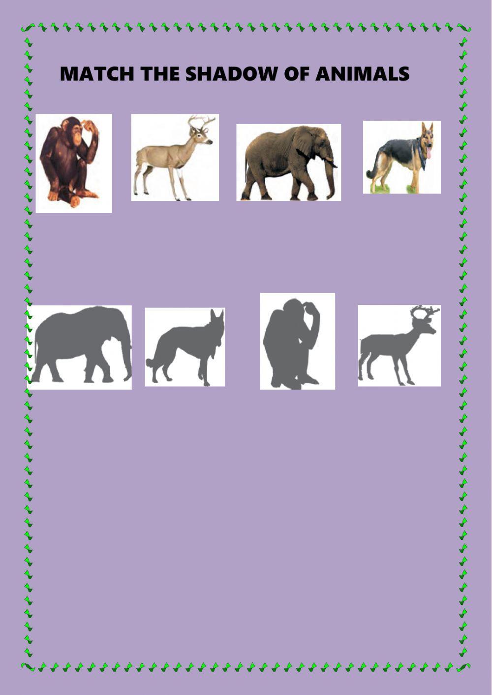 MATCH THE SHADOW OF ANIMALS worksheet | Live Worksheets