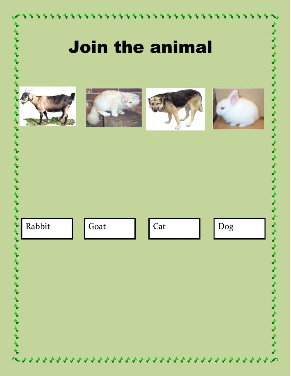 join the animals worksheet | Live Worksheets