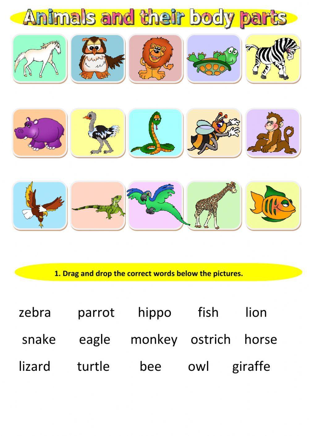 animals-and-their-body-parts-worksheet-live-worksheets