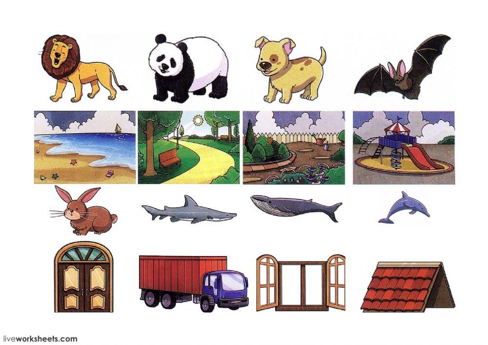 Fun for Movers 3-d worksheet | Live Worksheets