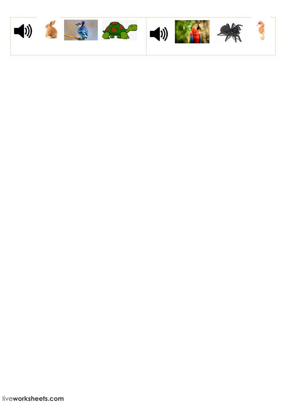 10a Clever animals! worksheet | Live Worksheets