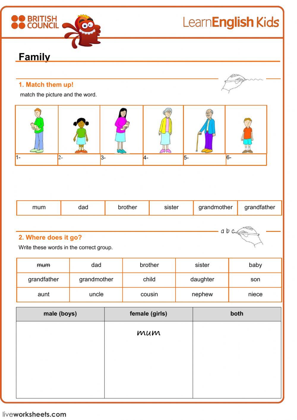 Family vocabulary worksheet | Live Worksheets