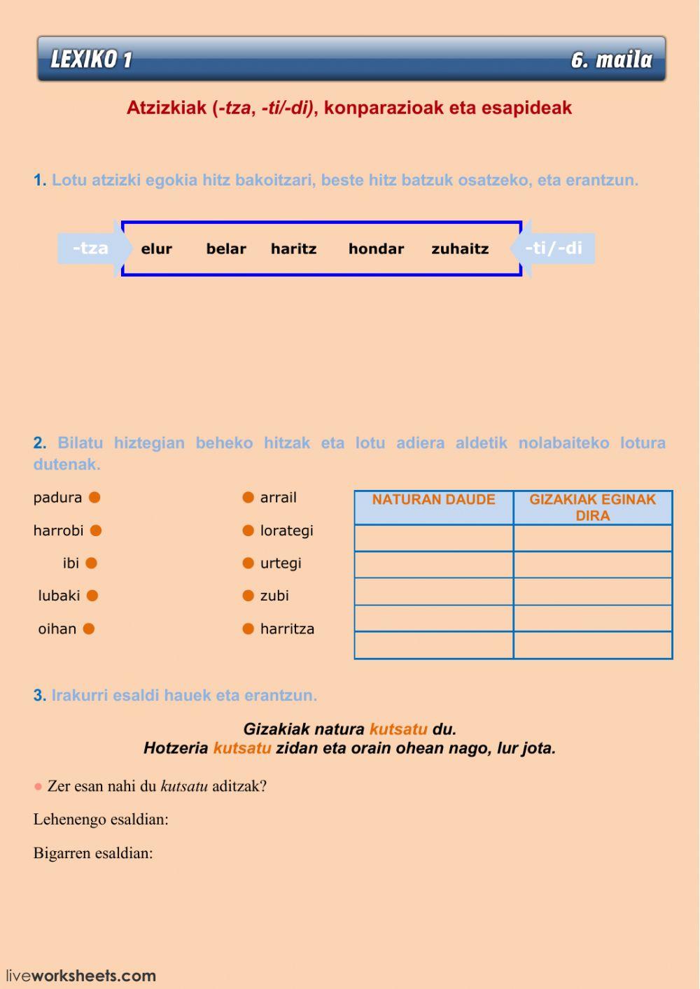 48243 | LEXIKO 1 | garaitz | LiveWorksheets
