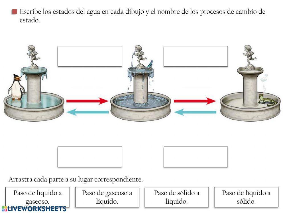 Hoja De Trabajo Sobre Los Cambios De Estado Del Agua