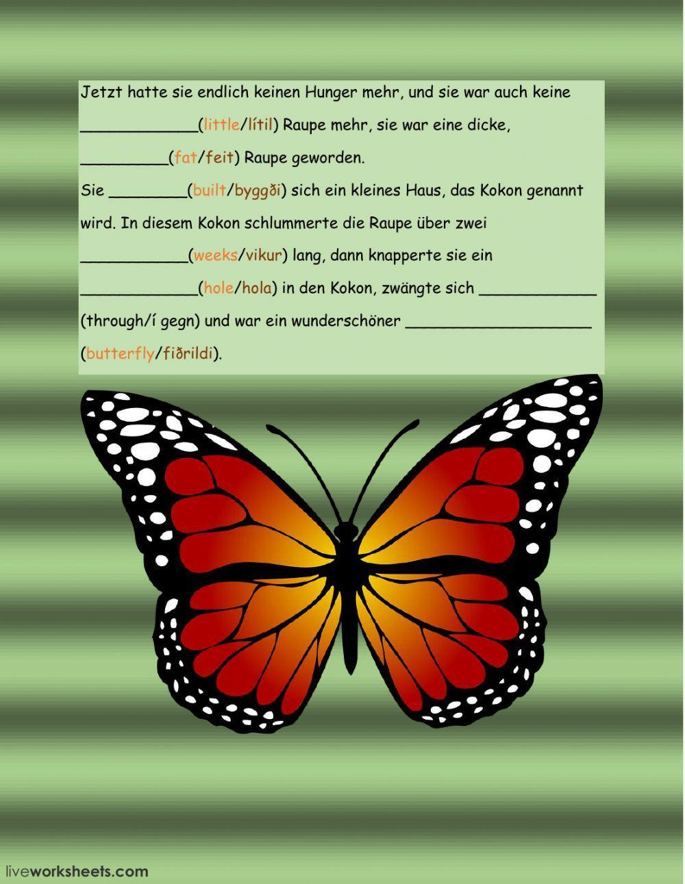 Die Kleine Raub… | Free Interactive Worksheets | 50303