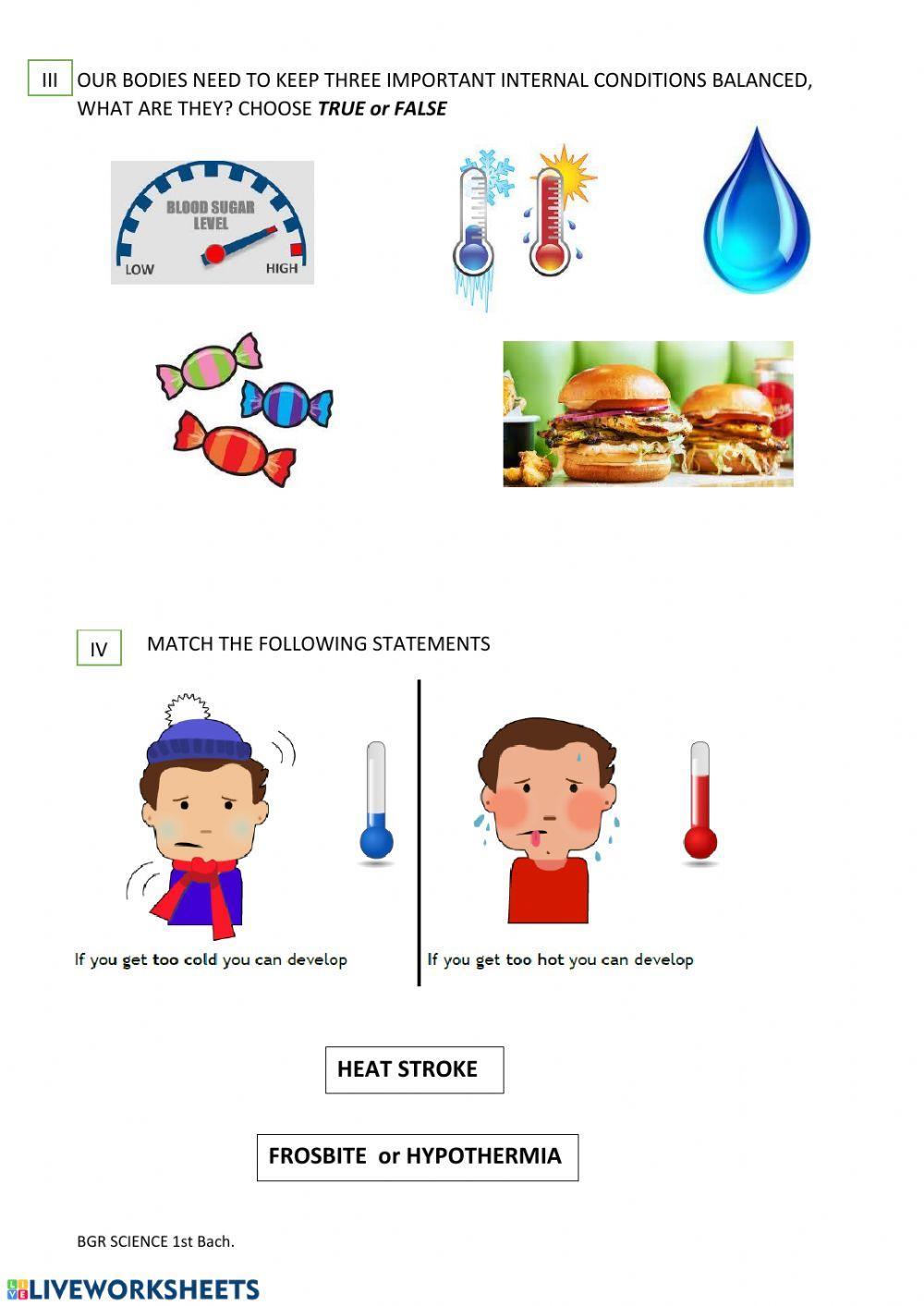 Homeostasis | Free Interactive Worksheets | 51781