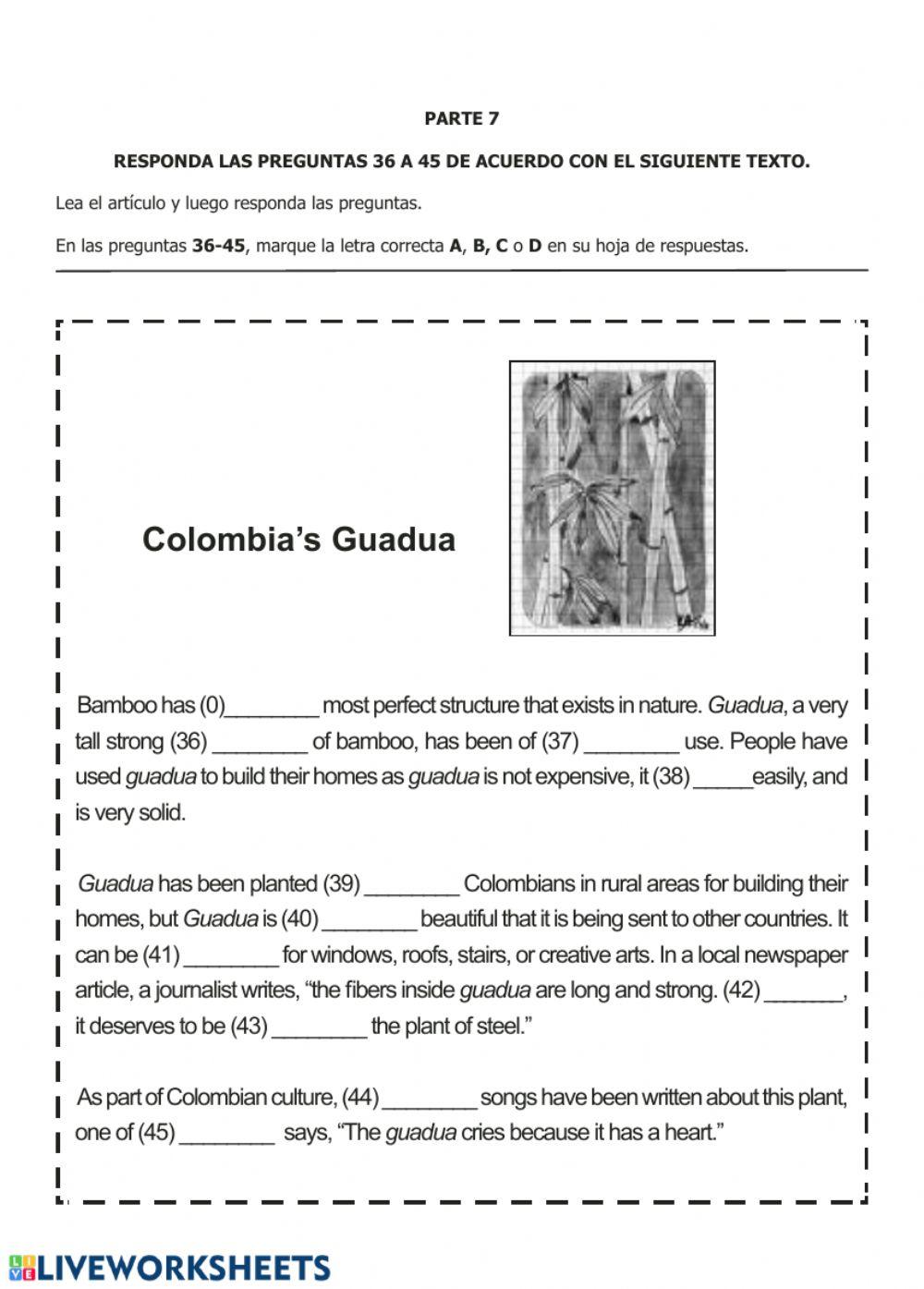 Diagnóstico ICF… | Free Interactive Worksheets | 5393964