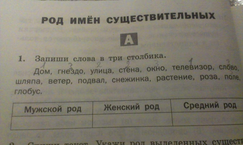 Род существительного Worksheet Live Worksheets
