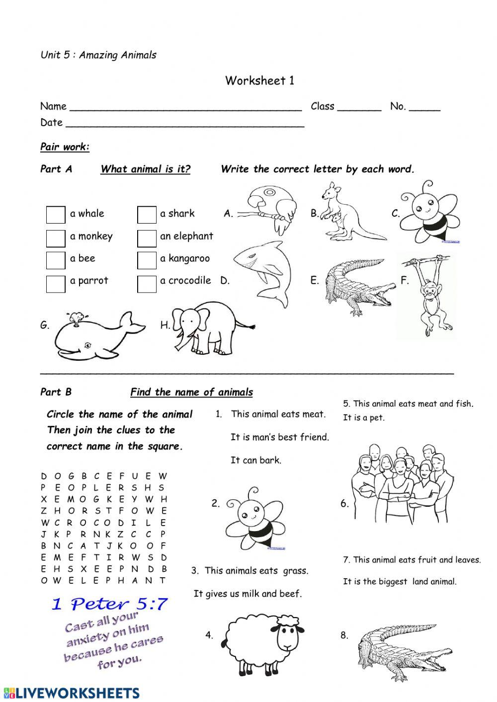 ws1 unit5 animals 53160 | woonsennarak3 | Live