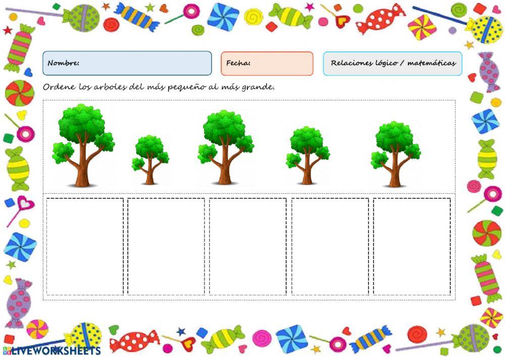Noción de medid… | Free Interactive Worksheets | 57648
