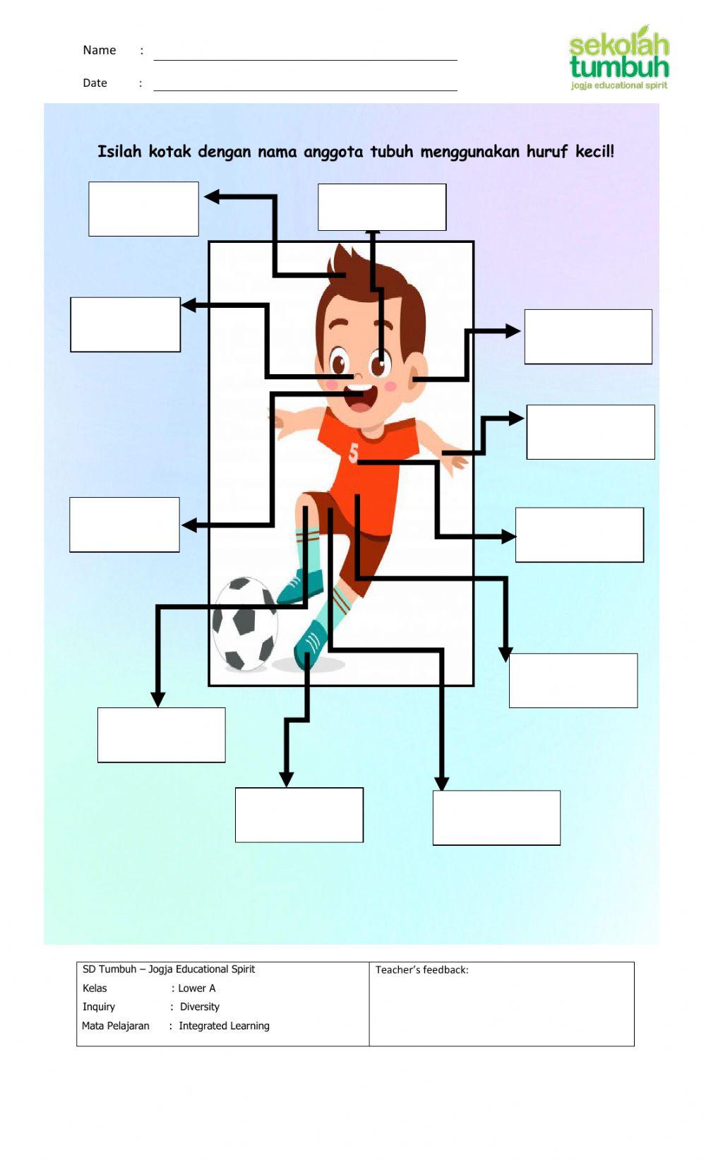 393900 | Pengenalan hobi dan anggota tubuh (a)