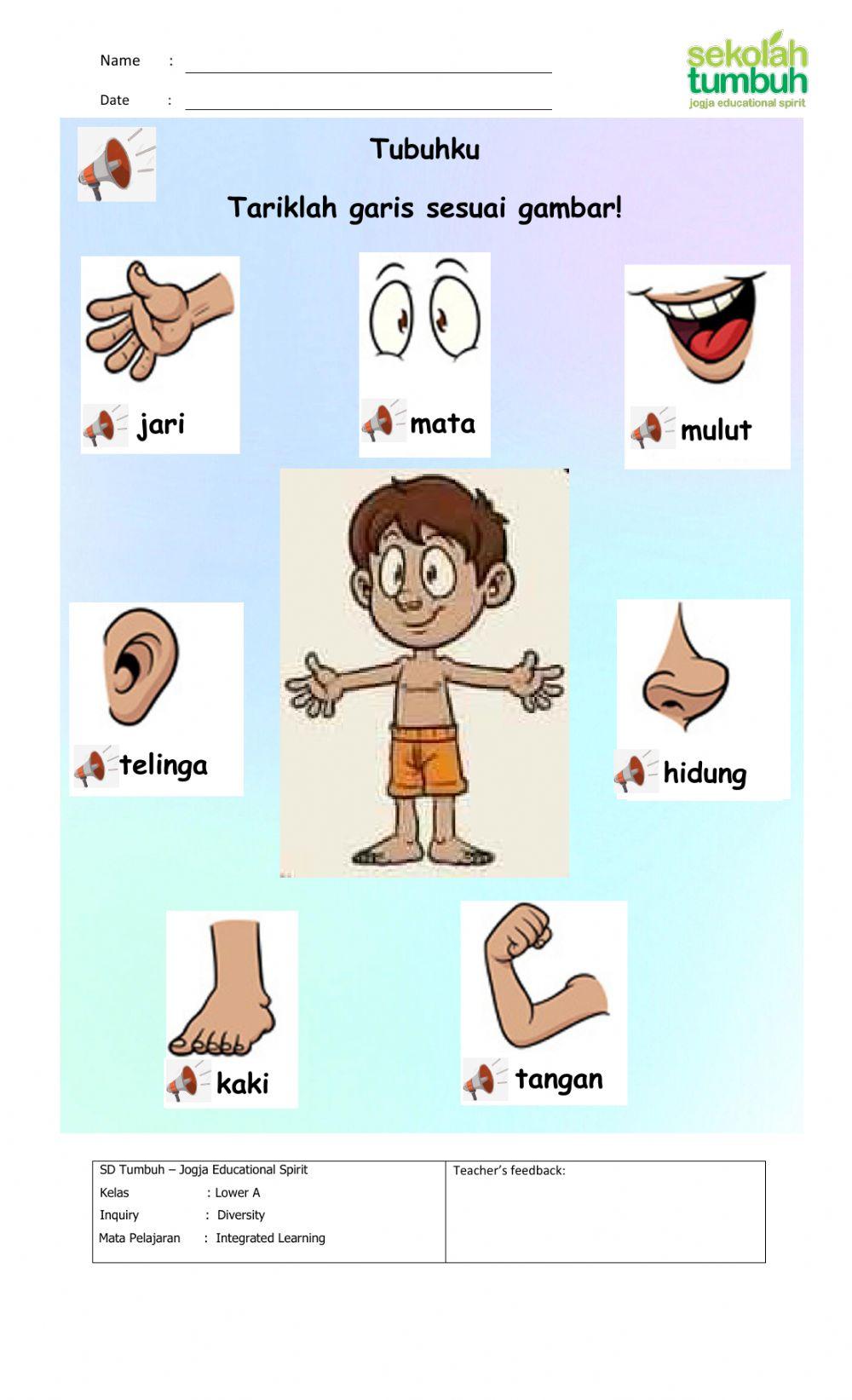 394014 | Pengenalan hobi dan anggota tubuh (c)