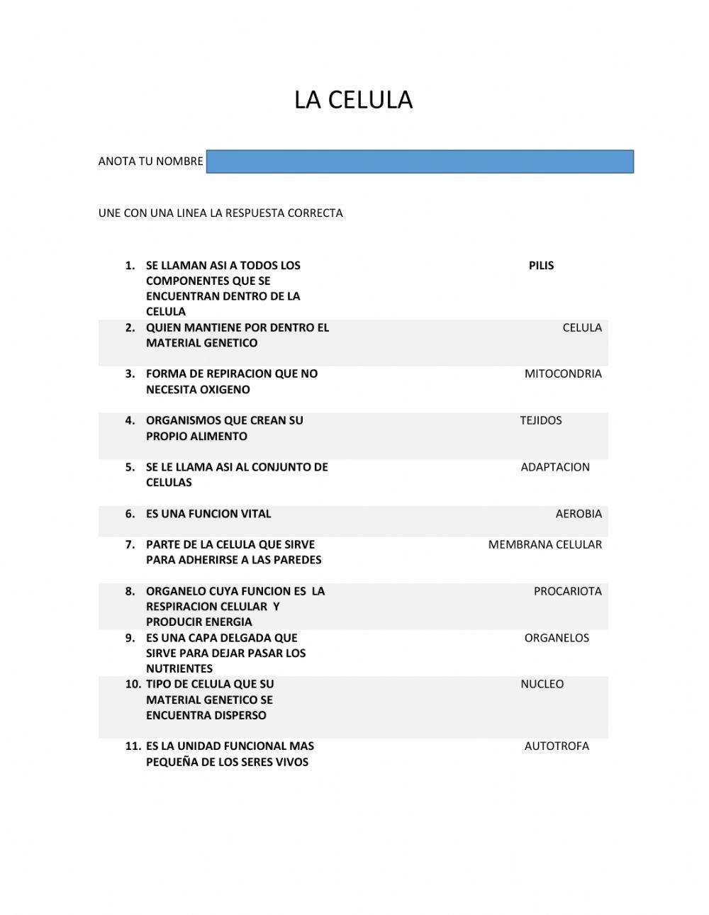 Celula | Live Worksheets
