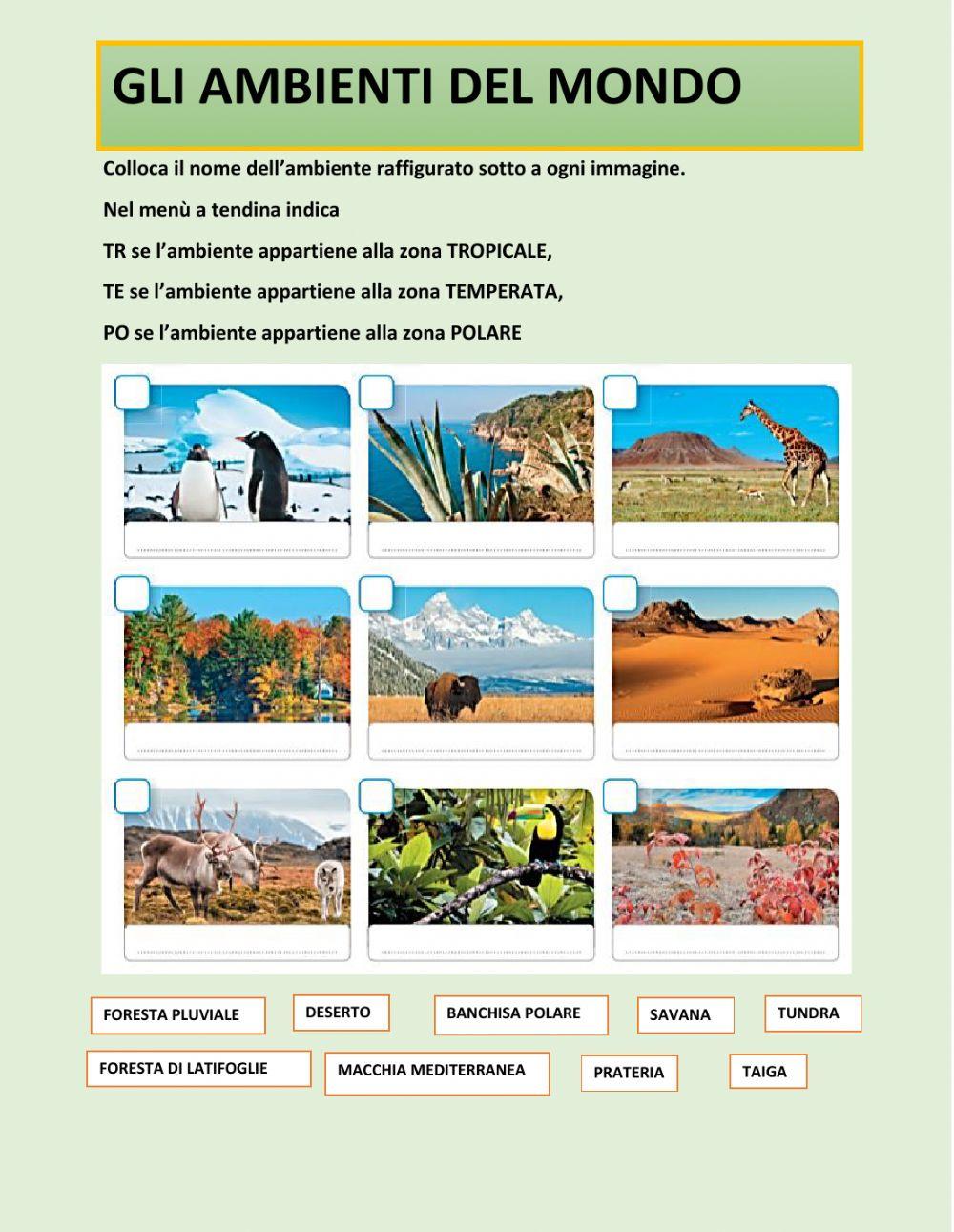 Gli Ambienti del Mondo worksheet | Live Worksheets