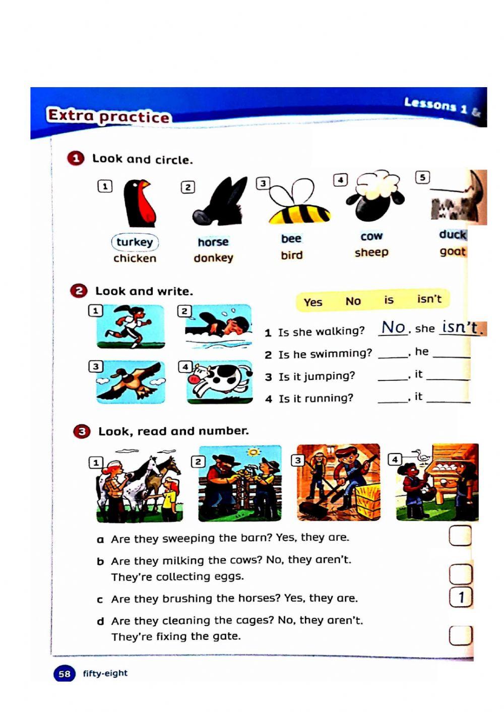 TEAM TOGETHER 2 UNIT 5 ACTIVITY BOOK PAGE 58 | Valeria