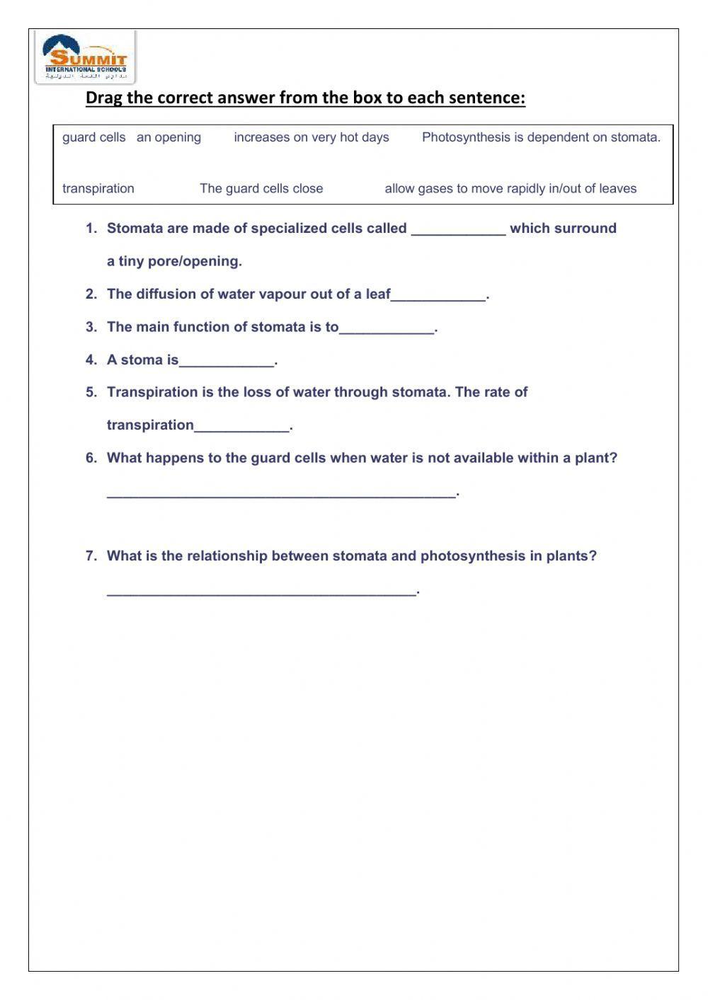Stomata | Free Interactive Worksheets | 411939
