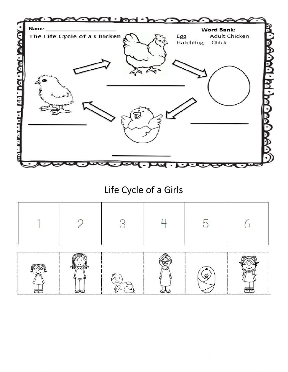 411948 | Growth and Change | giese2431 | LiveWorksheets