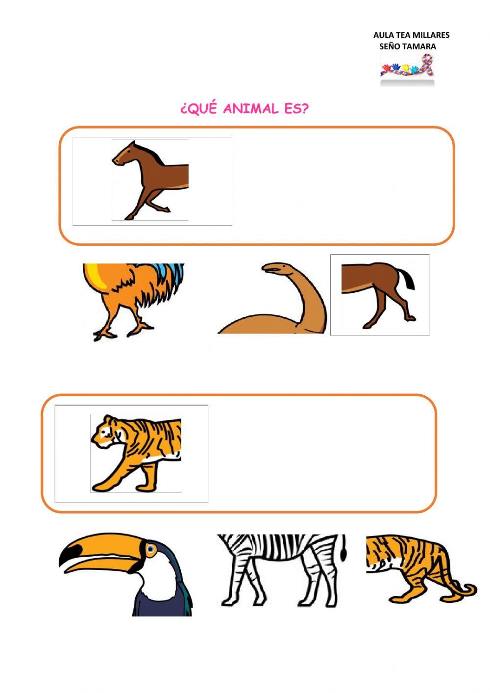 Que animal es | Tamaraf | Live Worksheets