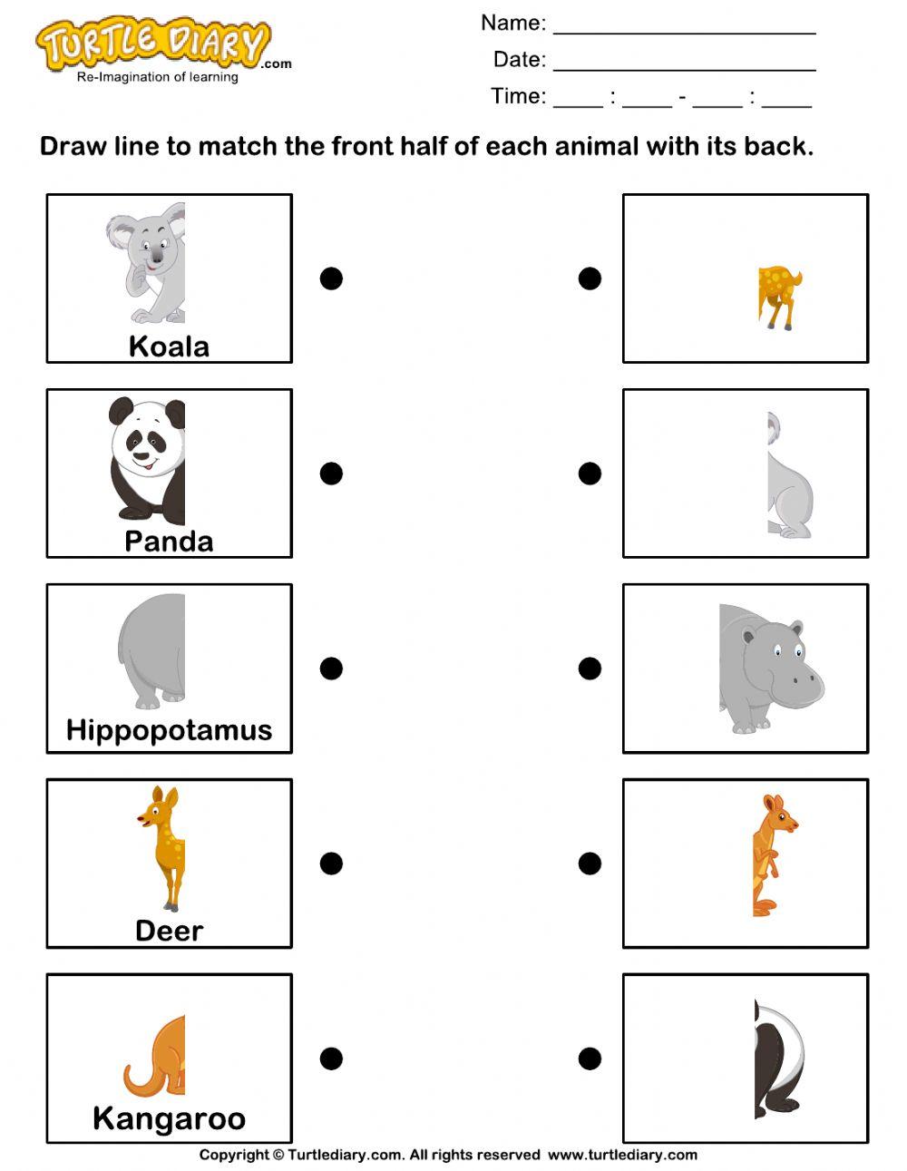 Match Animals' Body Parts online exercise for | Live Worksheets