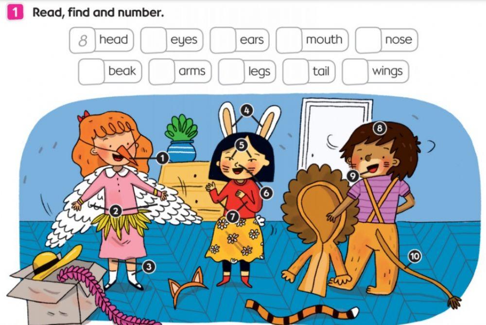 Read and number the body parts worksheet | Live Worksheets