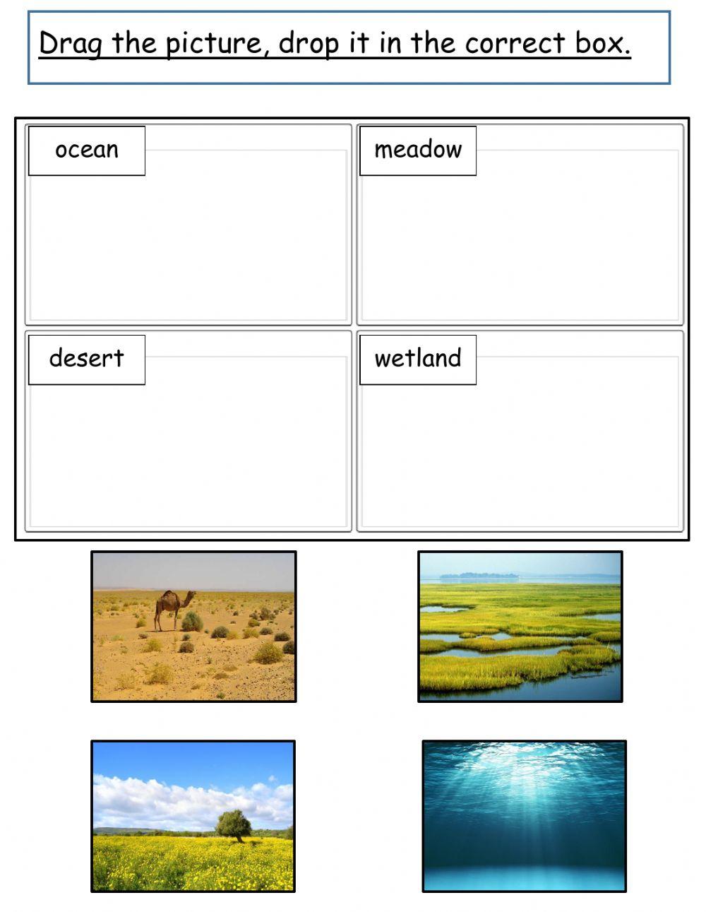 Environments 414646 | monamosman1 | Live Worksheets