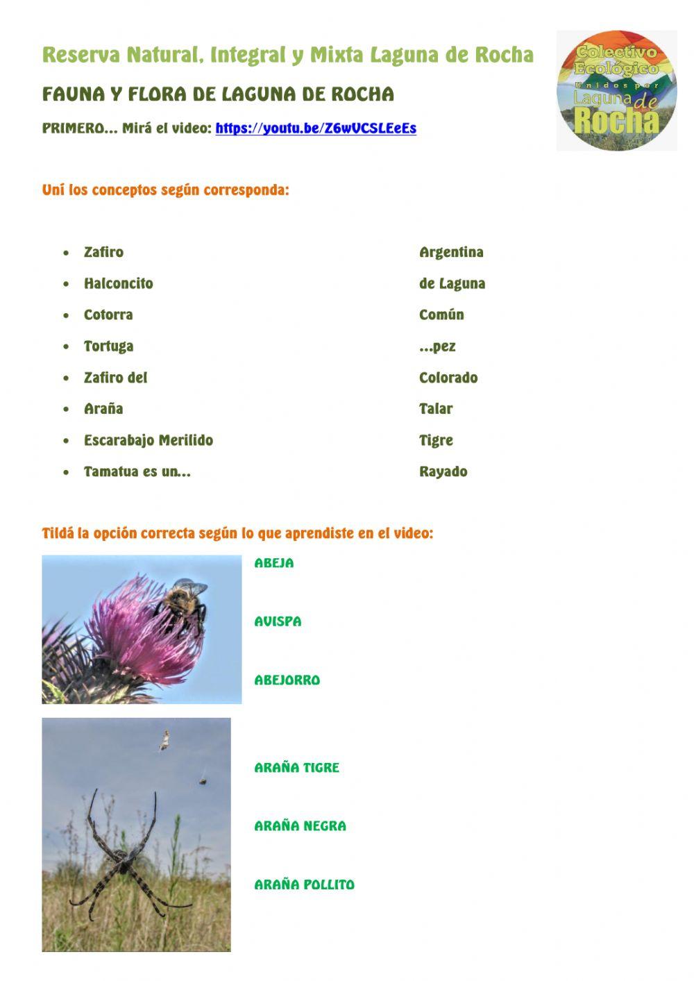 Flora y Fauna Laguna de Rocha worksheet | Live Worksheets