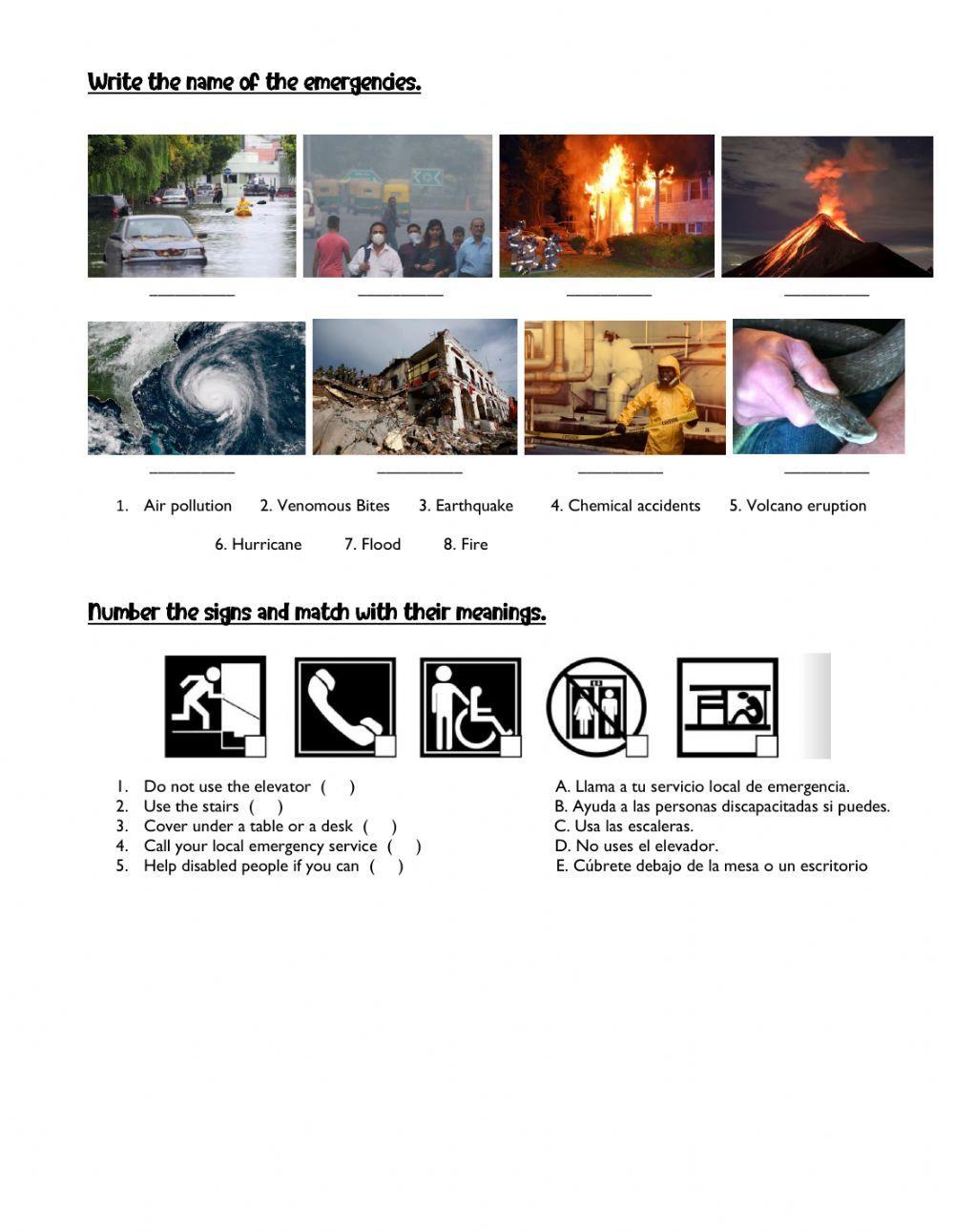 Environmental E… | Free Interactive Worksheets | 416093