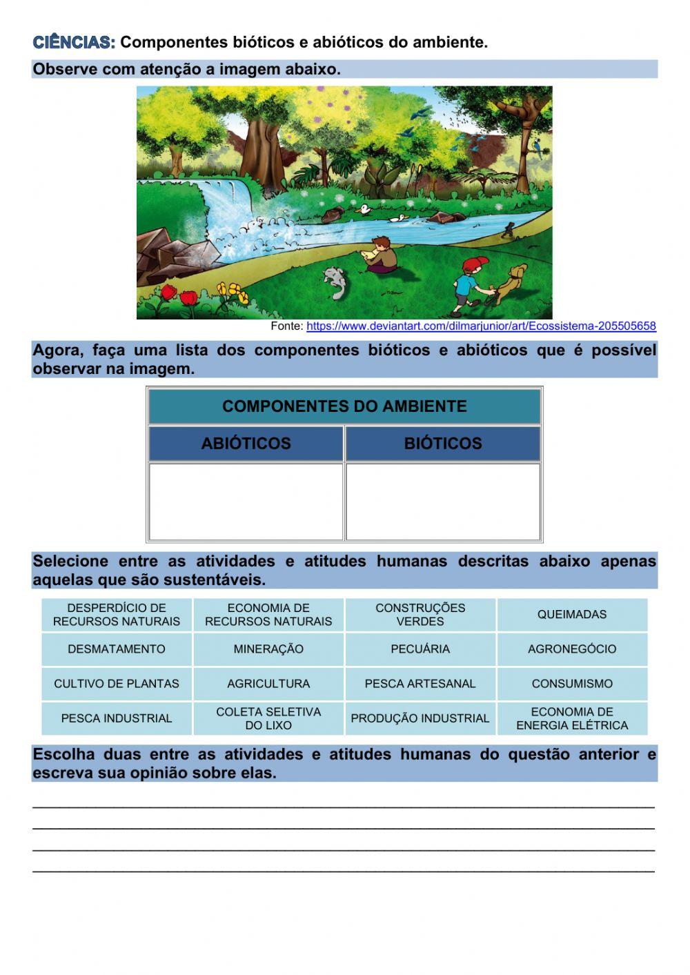 416342 | Componentes bióticos e abióticos | Paula Tecla