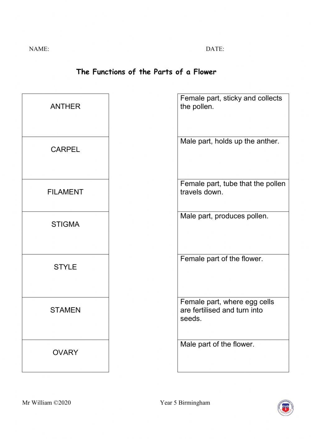 functions of part of a flower 6130613 | William Darko